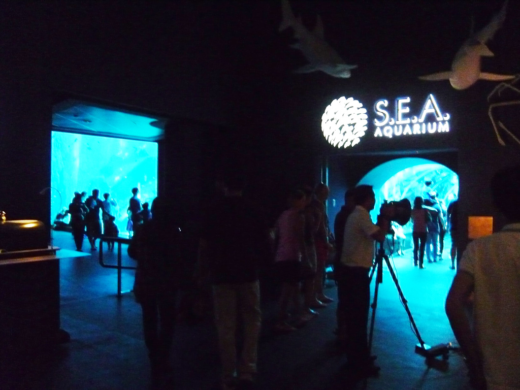 Hallo Phoebe: S.E.A. Aquarium