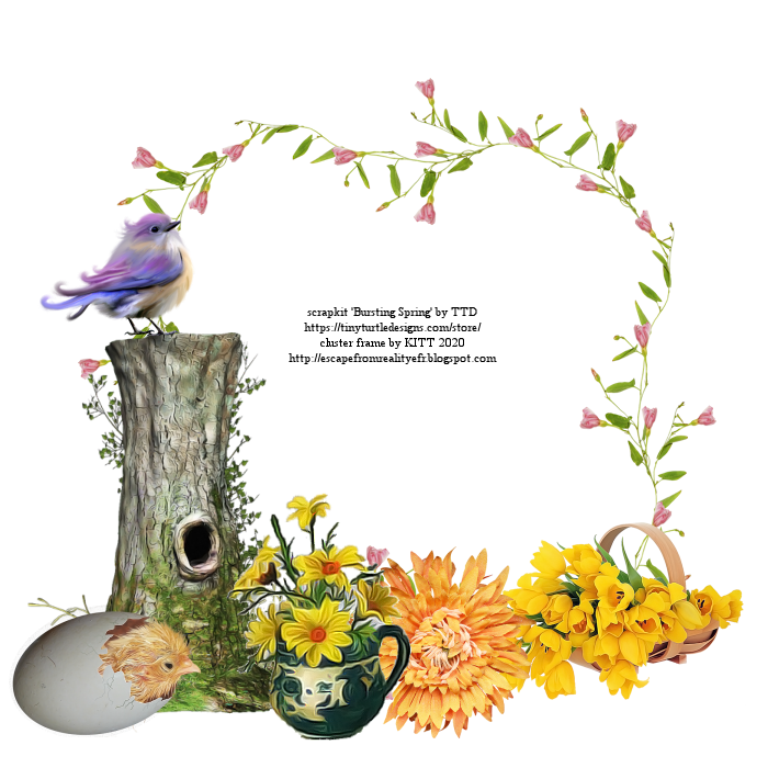 Escape From Reality Blog: FTU 'Bursting Spring' Cluster Frames TTD