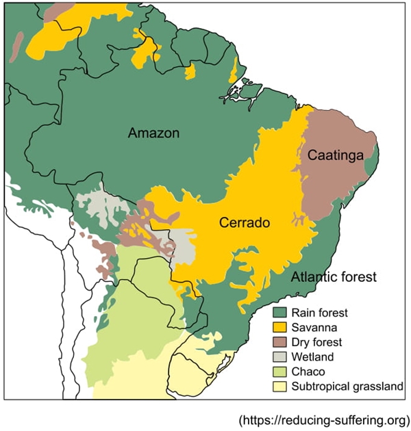 UNESP 2020: The first item from Facts & Figures states that the Cerrado ...