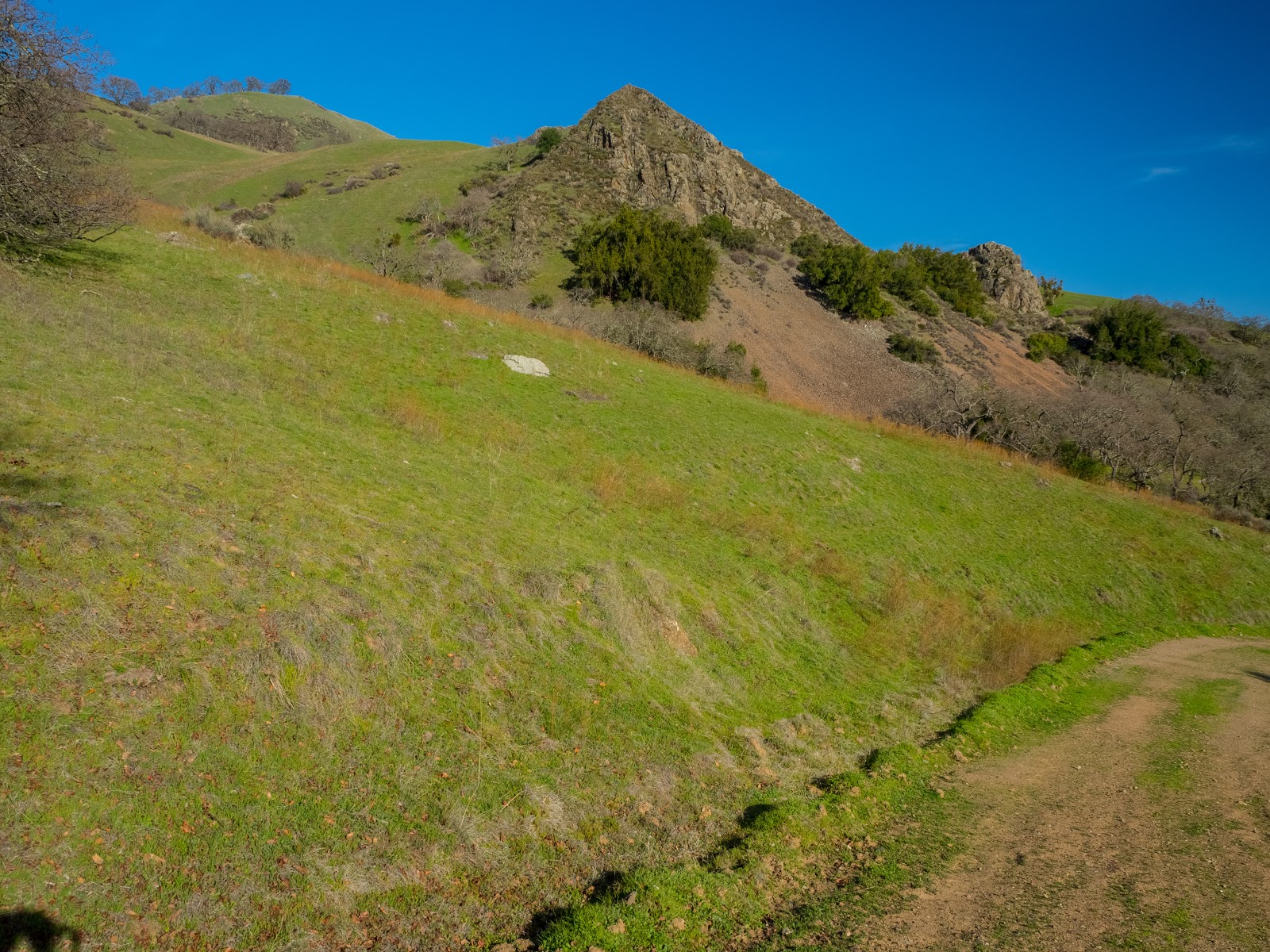 Naturetastic Blog: Sunol Regional Wilderness - Sunol, CA