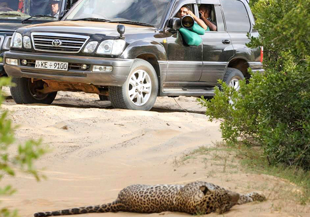 Sri Lanka: Sajith to launch ‘Project Leopard” | Sri Lanka Guardian