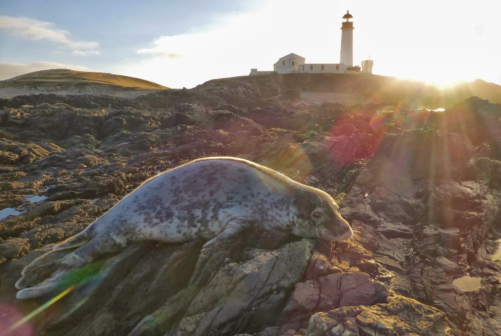 Fair Isle: Photos about the Fair Isle - December 2013