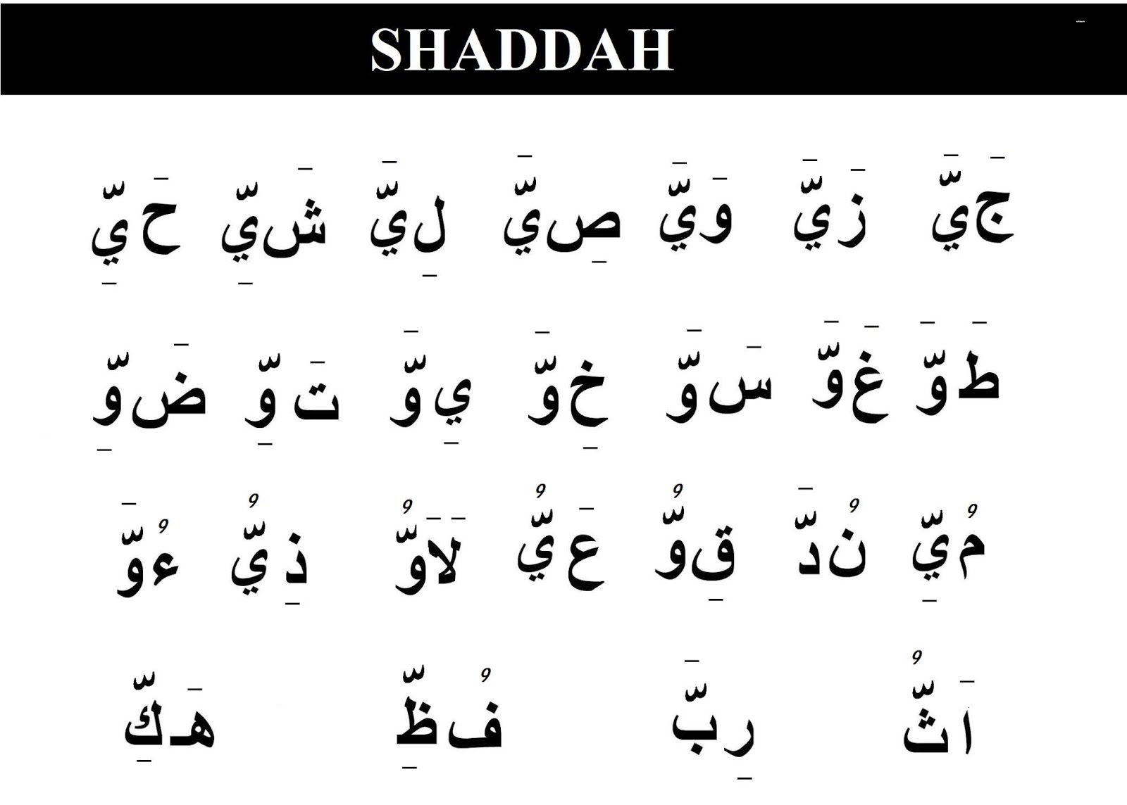 Islam & Muslims - Real People, Real Life, Real Stories: FREE Basic ...