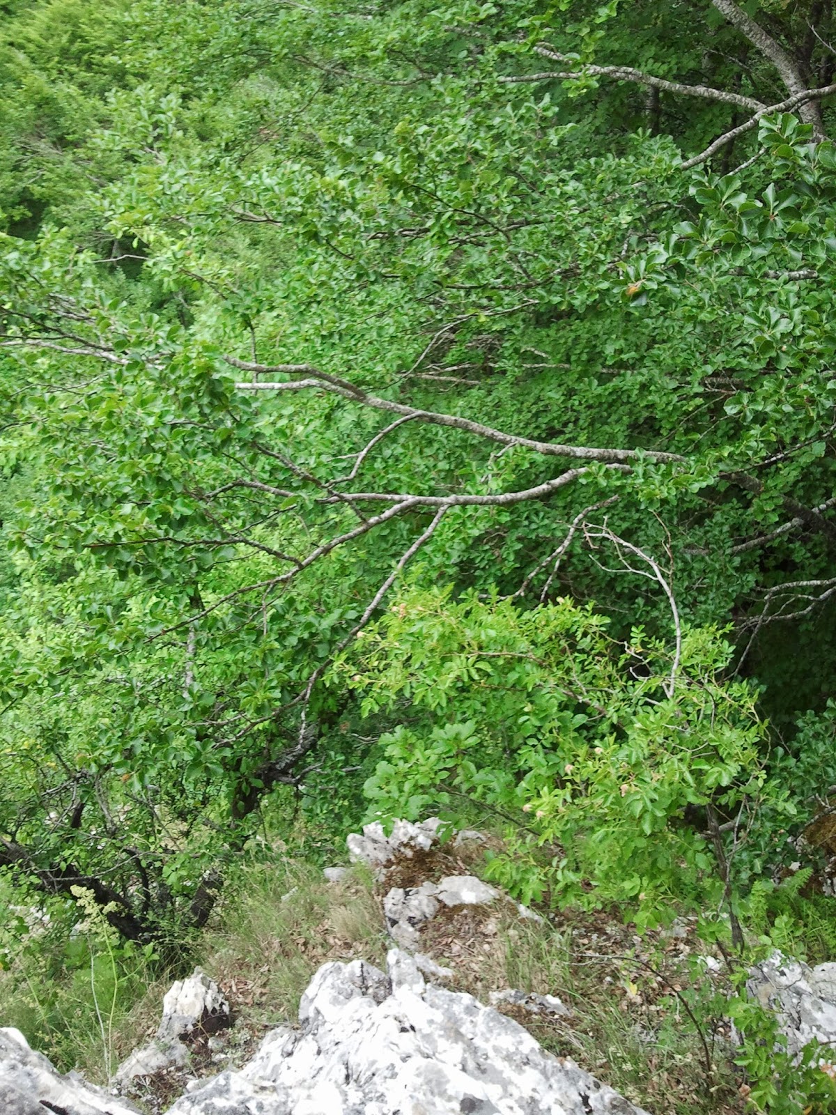 Cudesna priroda sjevera Crne Gore: VILLAGE MALINSKO