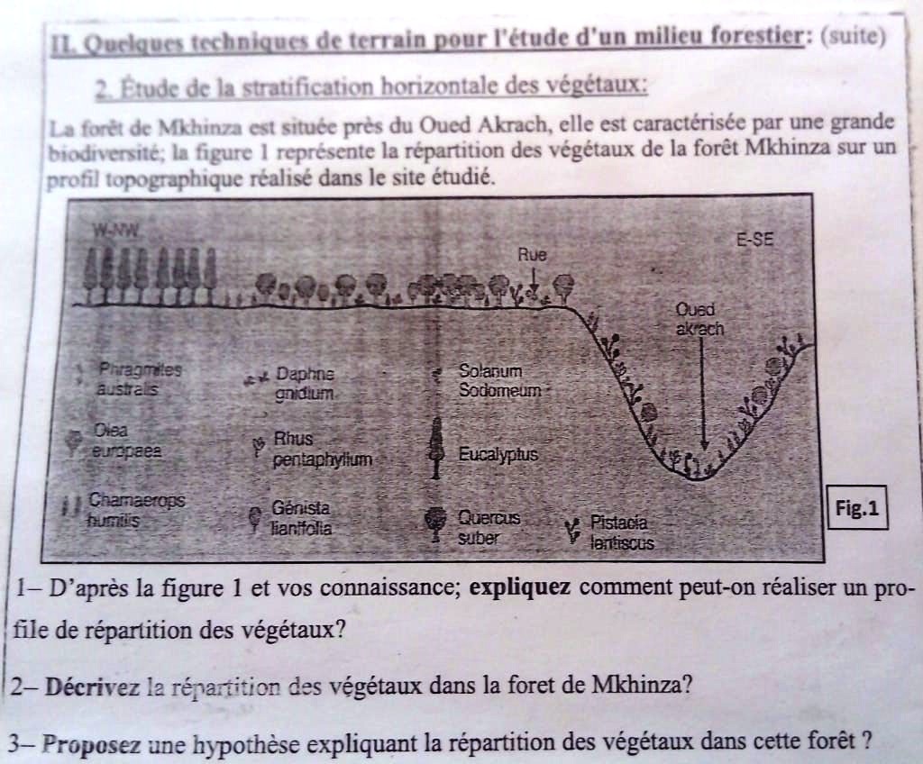la sortie ecologique