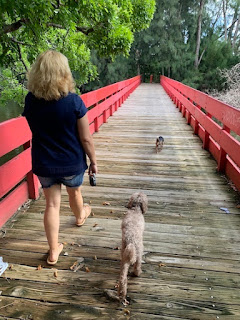 The Inside Look: Guest Blog from Marjetta Geerling/Mara Wells