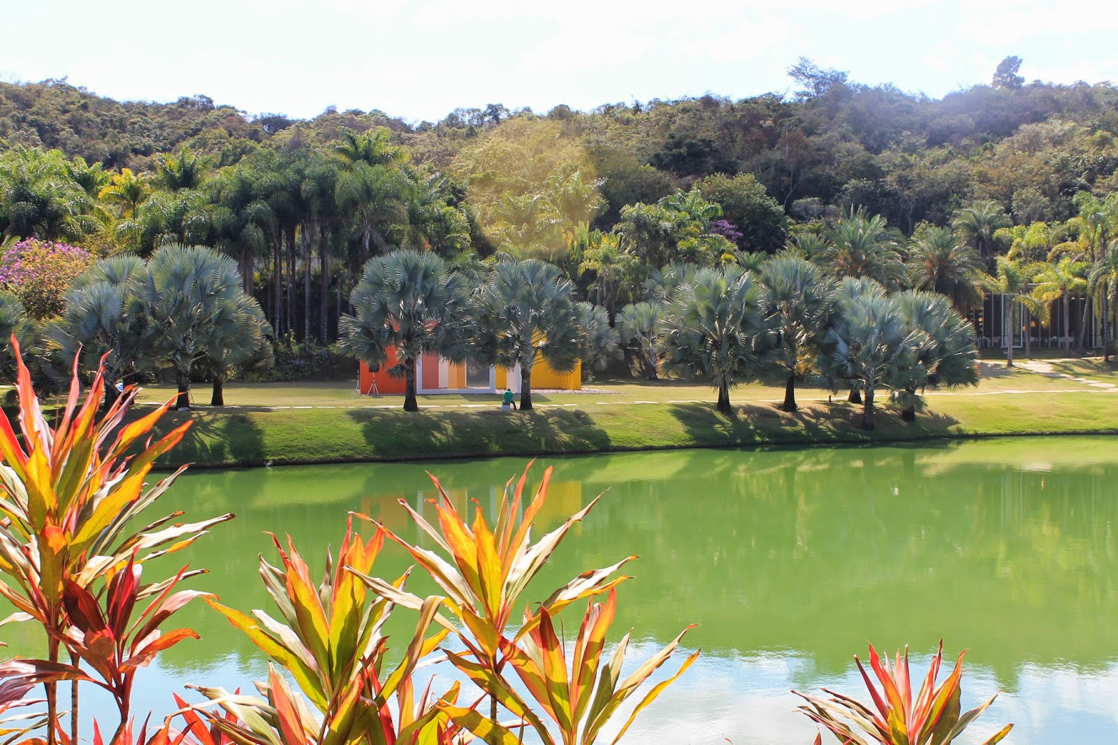 INHOTIM - MARAVILHOSO MUSEU DE ARTE CONTEMPORÂNEA E JARDIM BOTÂNICO ...