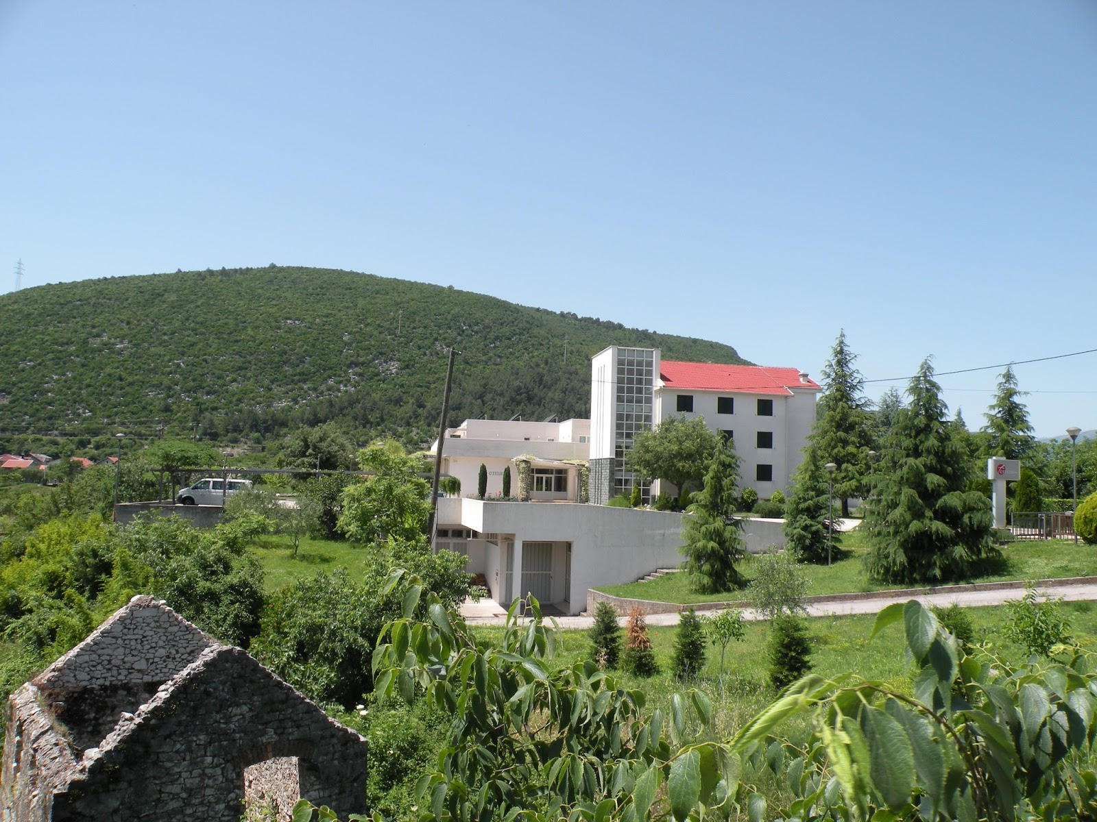 Cherry dress and cat ears / haljna s uzorkom trešnje i mačje uši ...