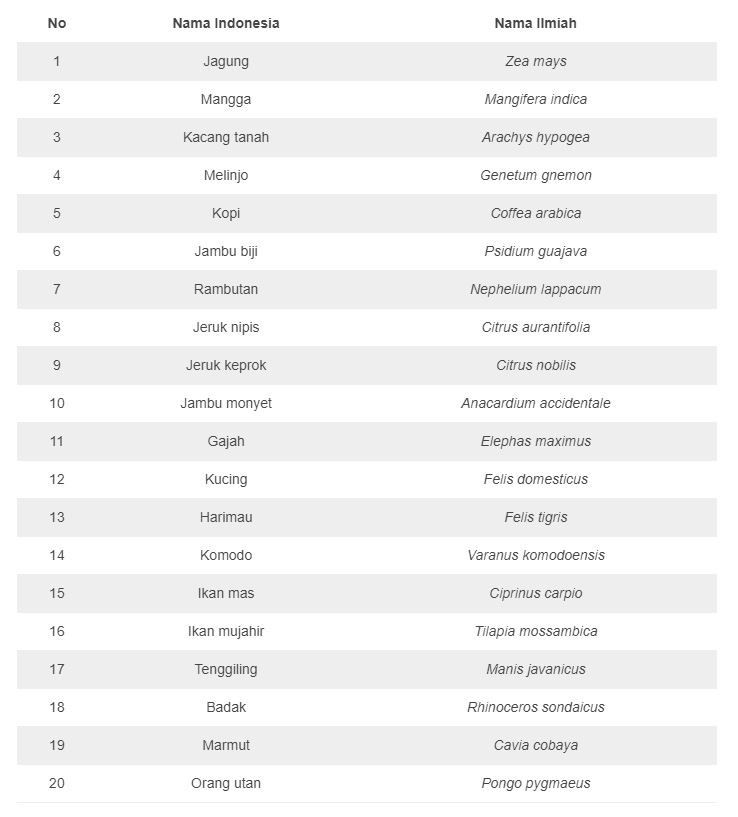 Materi IPA kelas 7 Semester 1 : Binomial Nomenklatur Beserta Contohnya ...