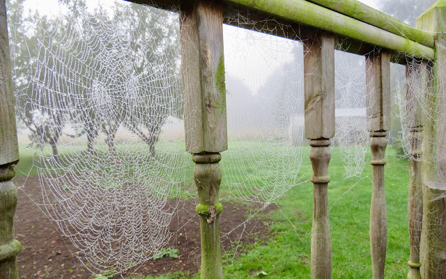 Floral Fantasies: A Vintage twist and an awesome cobweb!