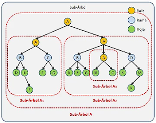 Teoría de grafos: árboles: Estructura de un árbol