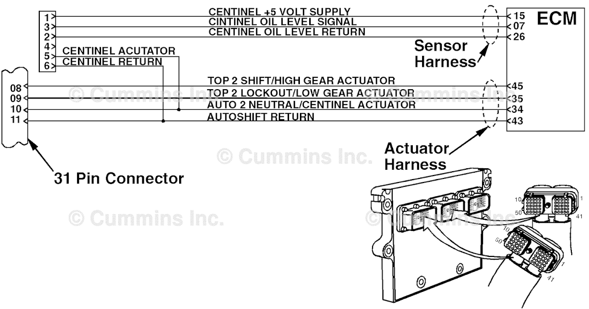 SPN 1265 - FMI 4 (Fault Code 223) - Blog.Teknisi