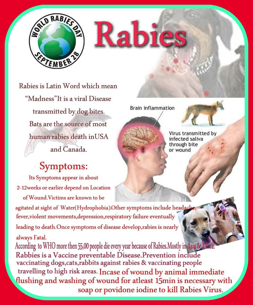 Aditya Library: World Rabies Day