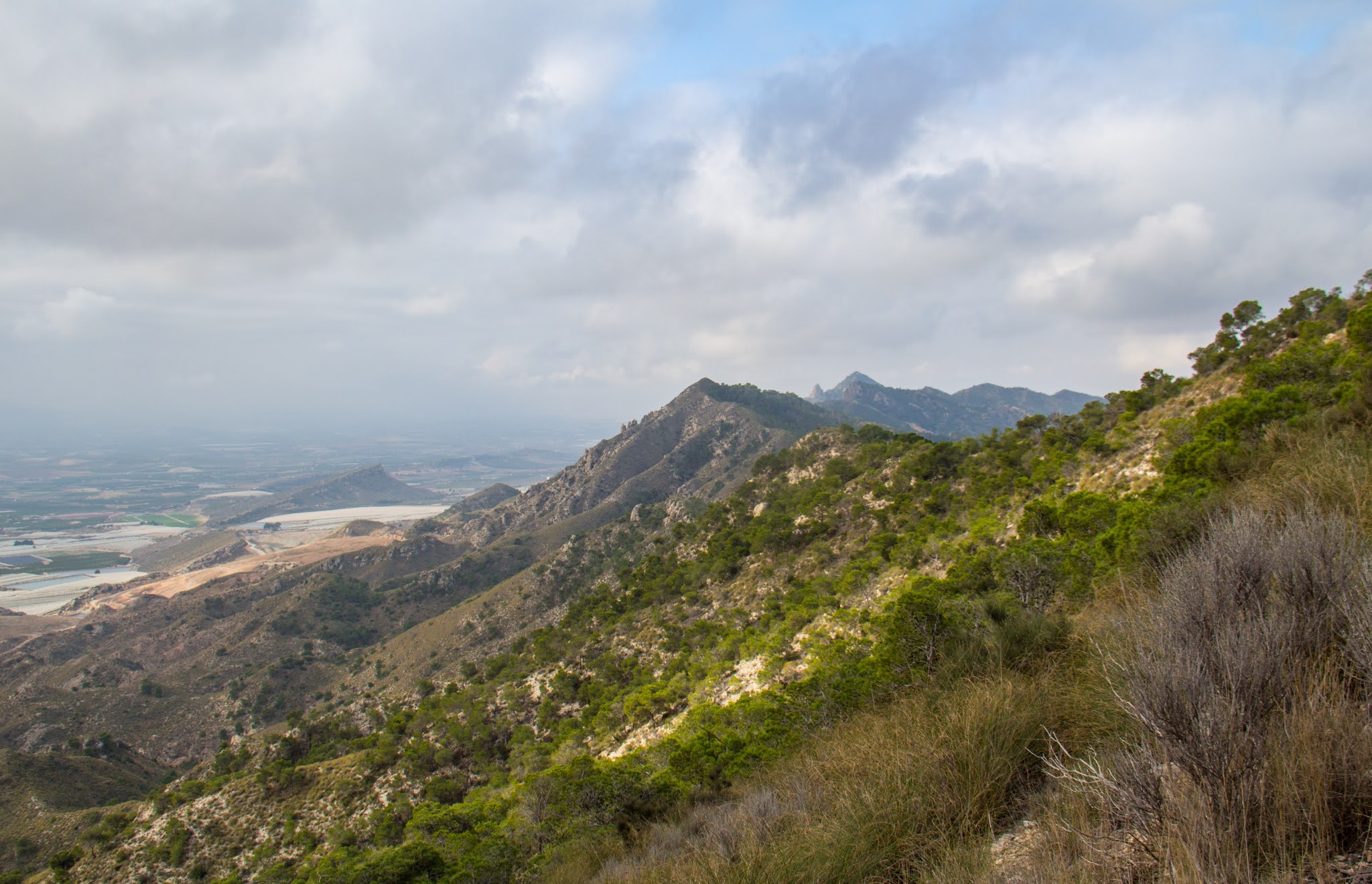 RUTA CIRCULAR AL CERRO DEL AGUDO DESDE BARBARROJA.