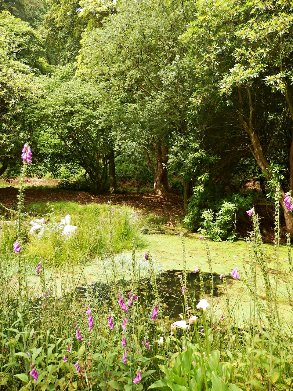 Mike's Cornwall: The Secretive Menacuddle Holy Well and Chapel, Cornwall
