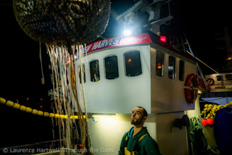 Through the Gaps! - Newlyn Fishing News: Sardine man Dan braves out ...