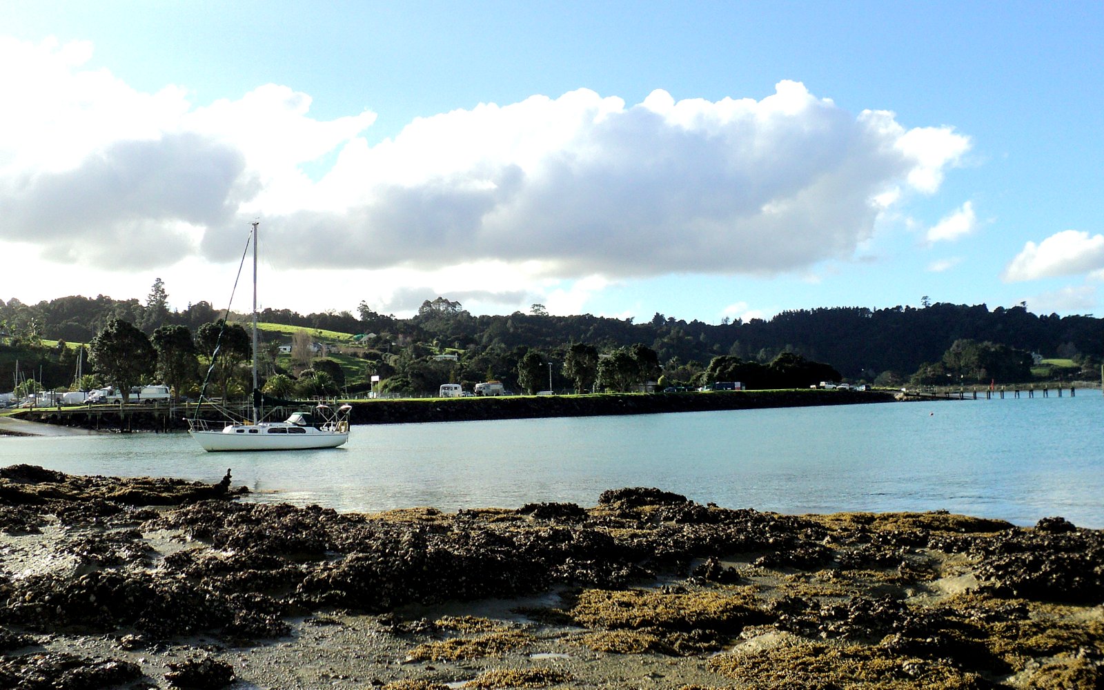 Licorice Allsorts: Parua Bay... A Winter Afternoon...