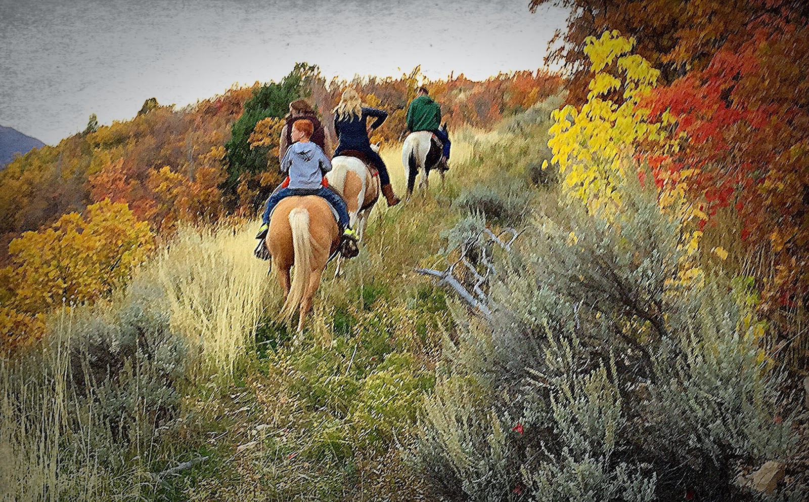 Life of Tracy: Fall Horse Riding