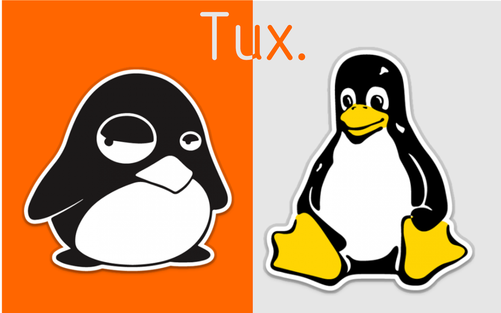 Sejarah Pinguin Menjadi Logo Linux - StonaTech