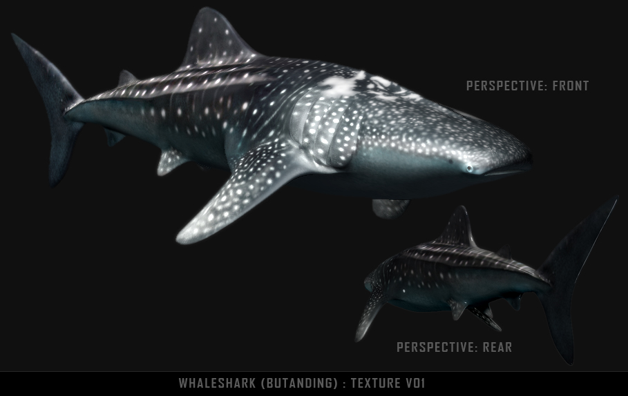 Anarchytech 3D Gallery: Whale Shark (Butanding)