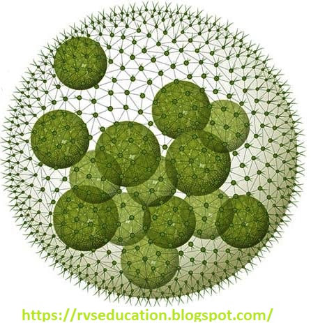 Volvox, Life cycle of volvox, Sexual Reproduction in Volvox, Asexual ...