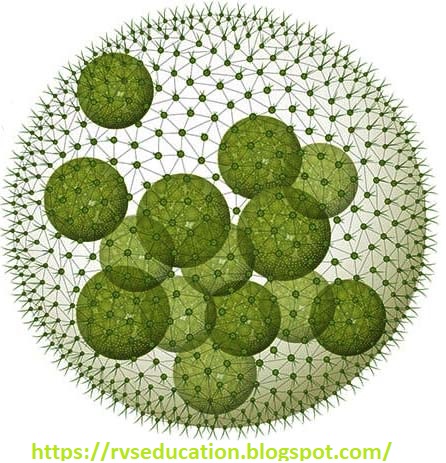 Volvox, Life cycle of volvox, Sexual Reproduction in Volvox, Asexual ...