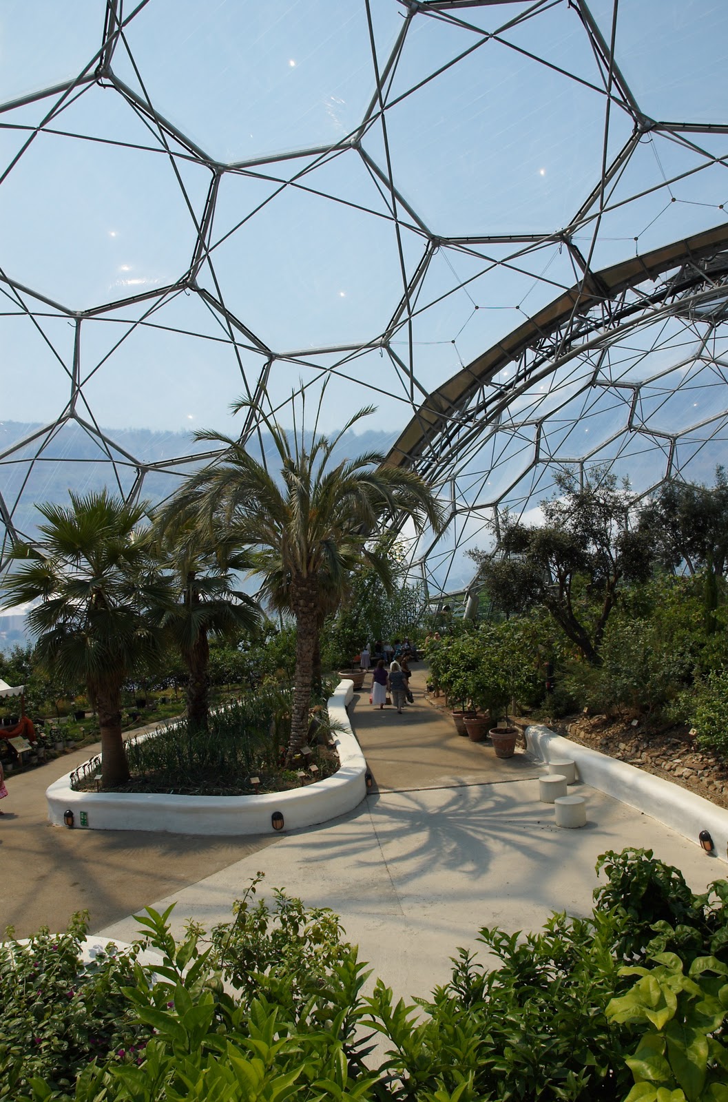 plain Note: Bio Dome