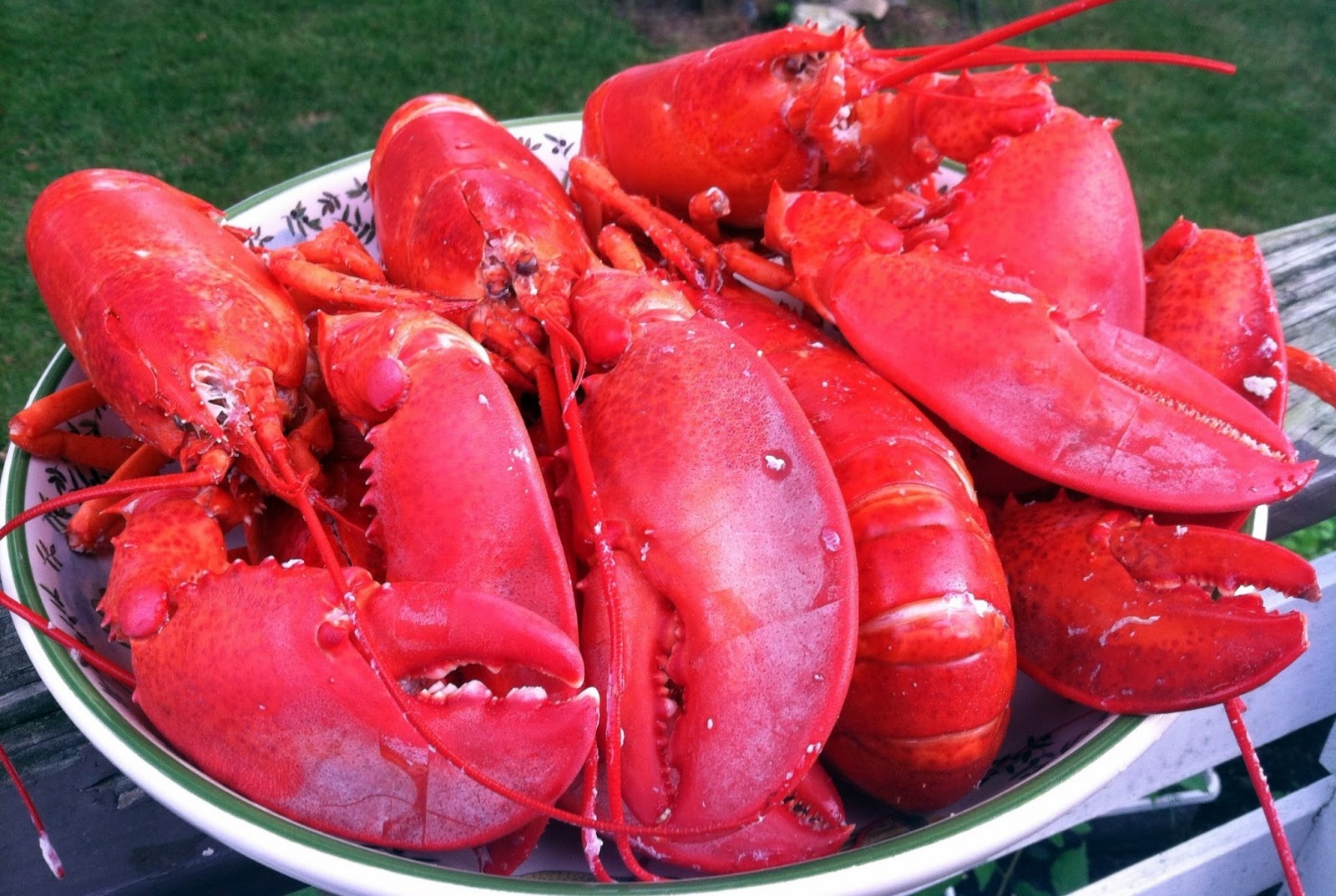 A Couple in the Kitchen: For the Love of Lobster