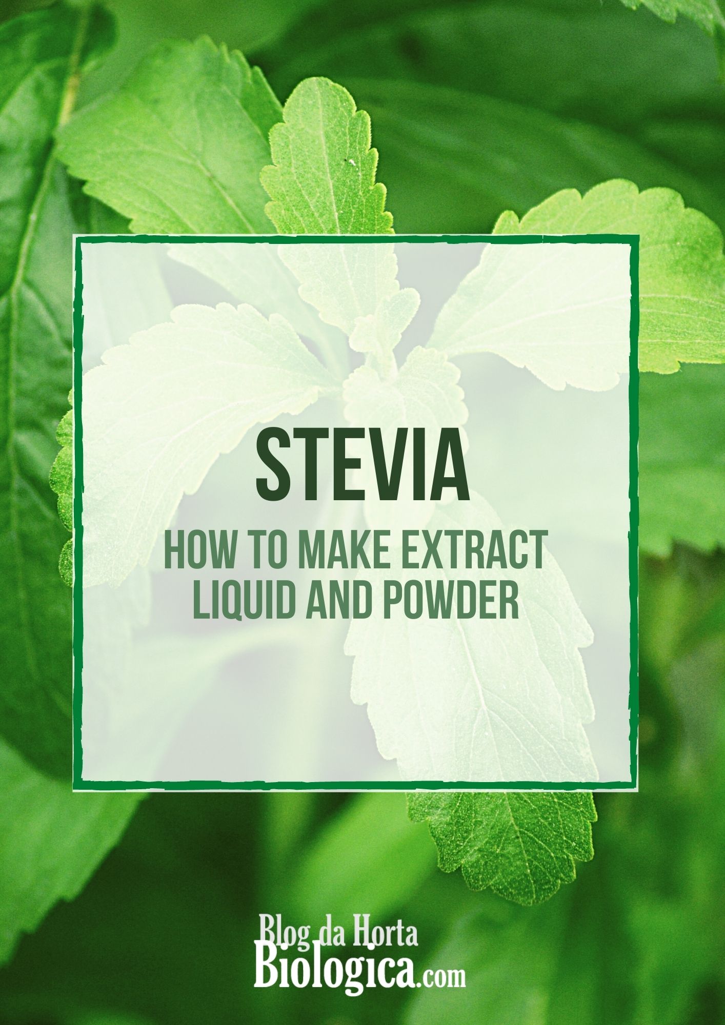 What are the benefits of stevia How to distinguish it from the products ...