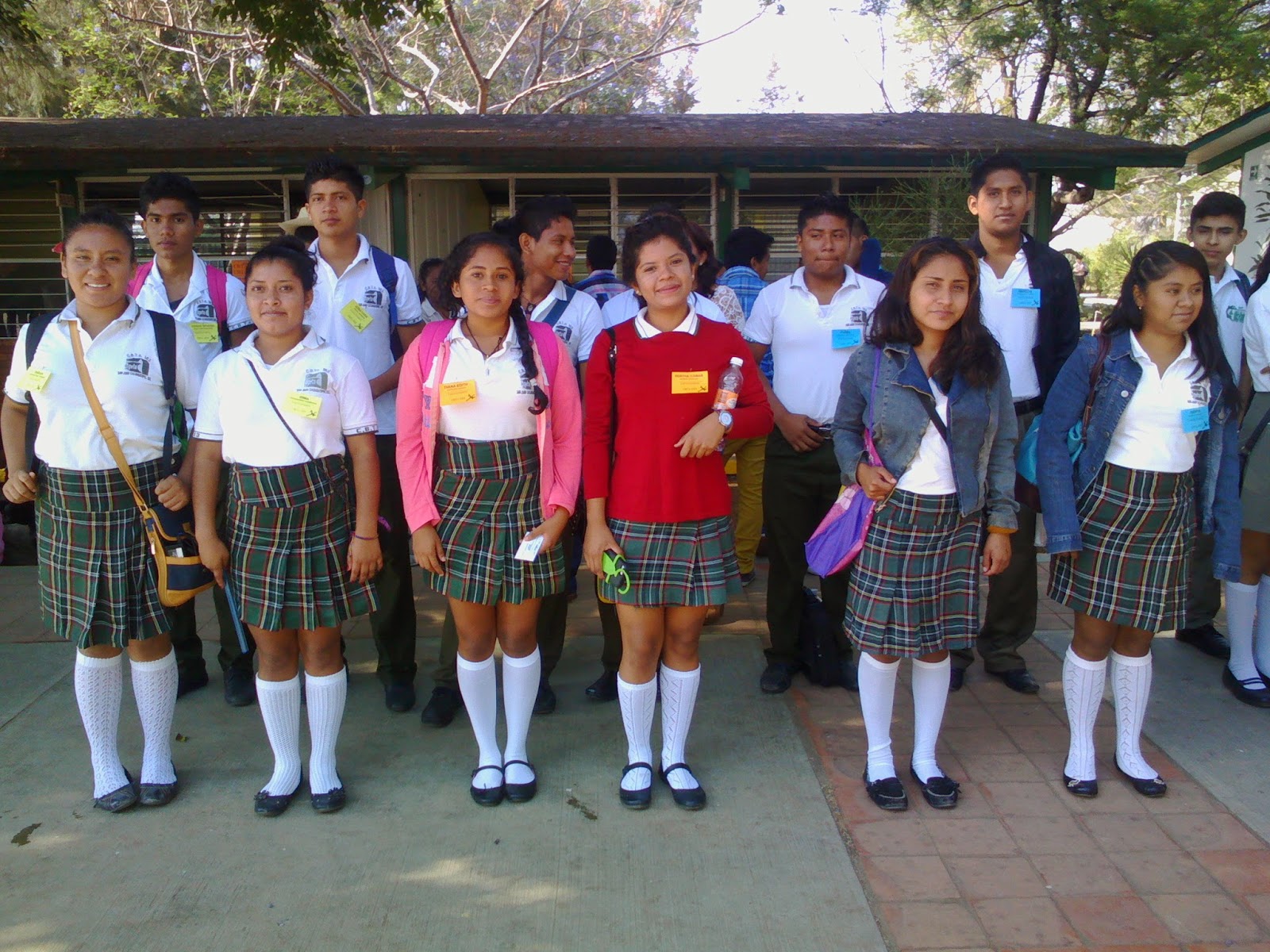 Académico CBTa 183: mayo 2015