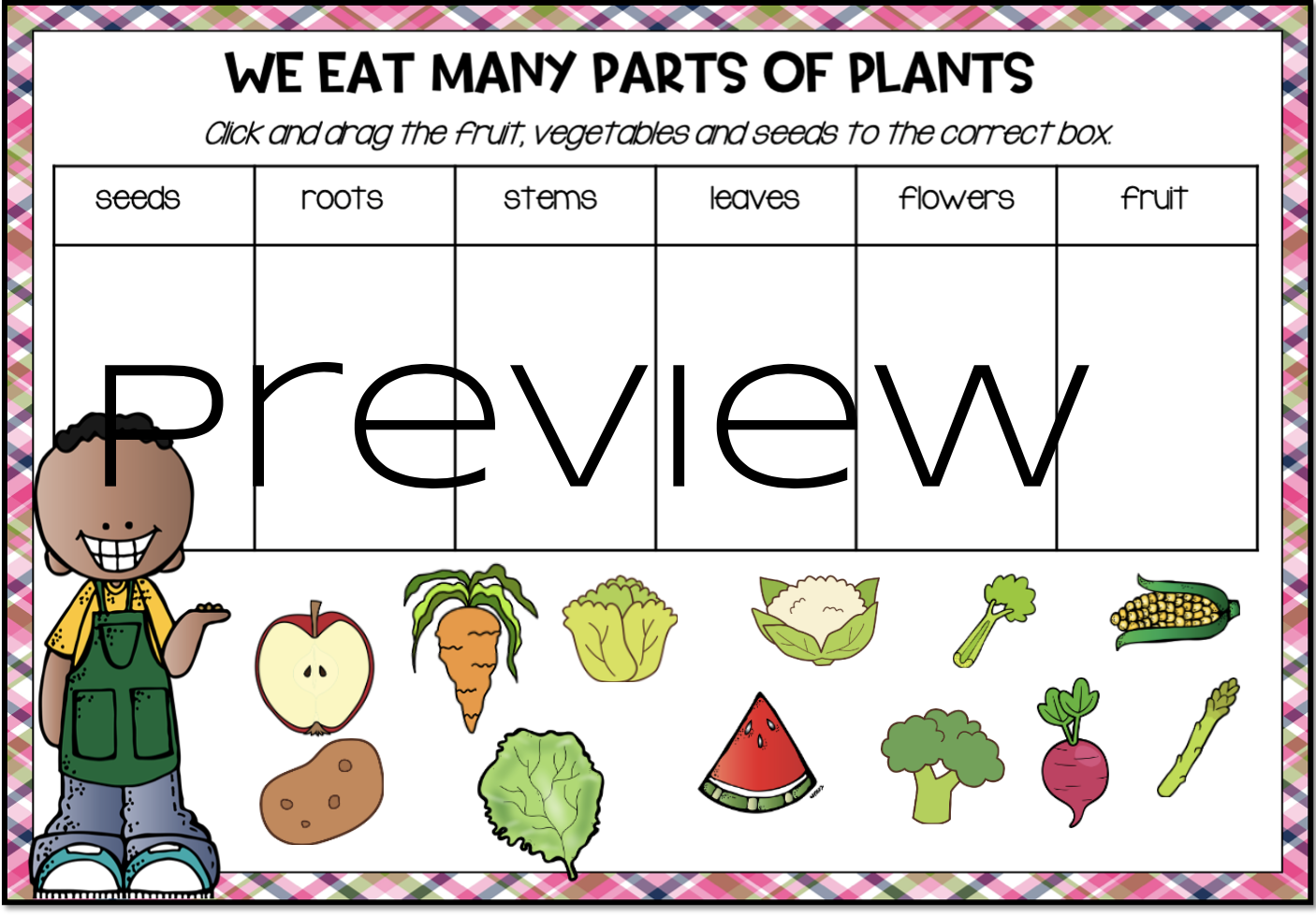 1st Grade Hip Hip Hooray!: Plants..."Growing" our knowledge of plants!