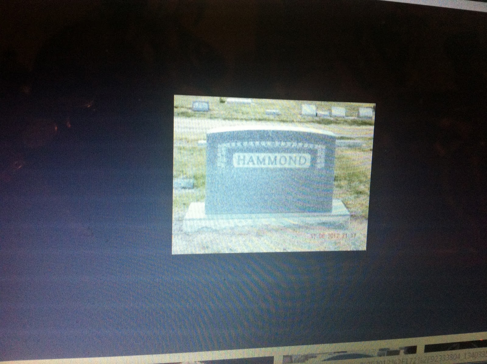 THE BLACK SOCIAL HISTORY:: BLACK SOCIAL HISTORY : AFRO-AUSTRALIAN ...