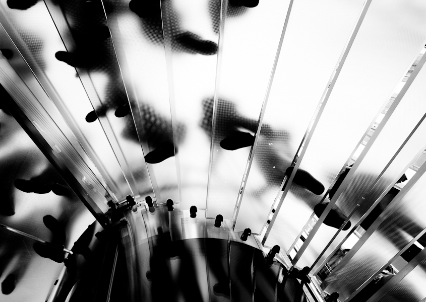 PhotoUTSA: 5 - Amanda Schweizer submits Robin Ryan