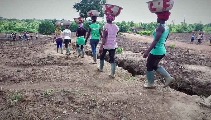 A Ghanaian maize farmer thrives on the ashes of destroyed forest ...