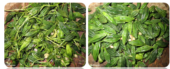 Athalakkai Poriyal | Athalakkai Stir Fry ~ Full Scoops - A food blog ...