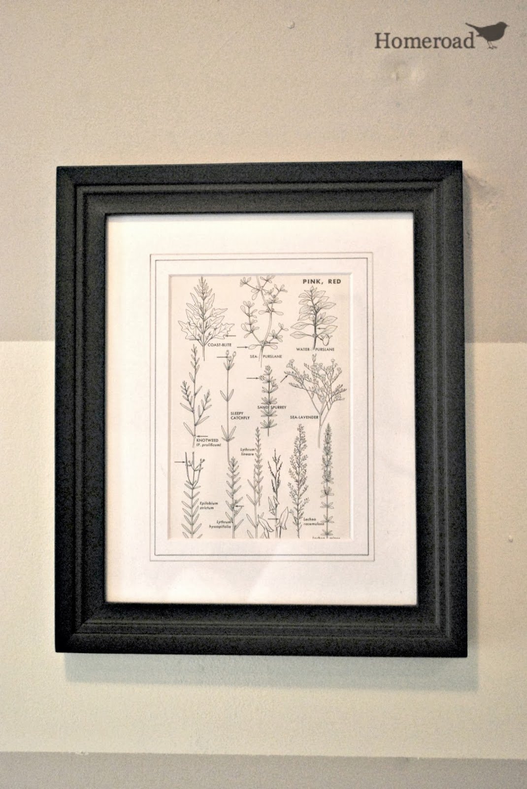 Framed Book Page Art