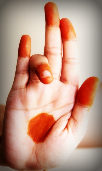 Mohiniyattam - The Enchanting Dance: MOHINIYATTAM HASTAS -Hand Gestures ...