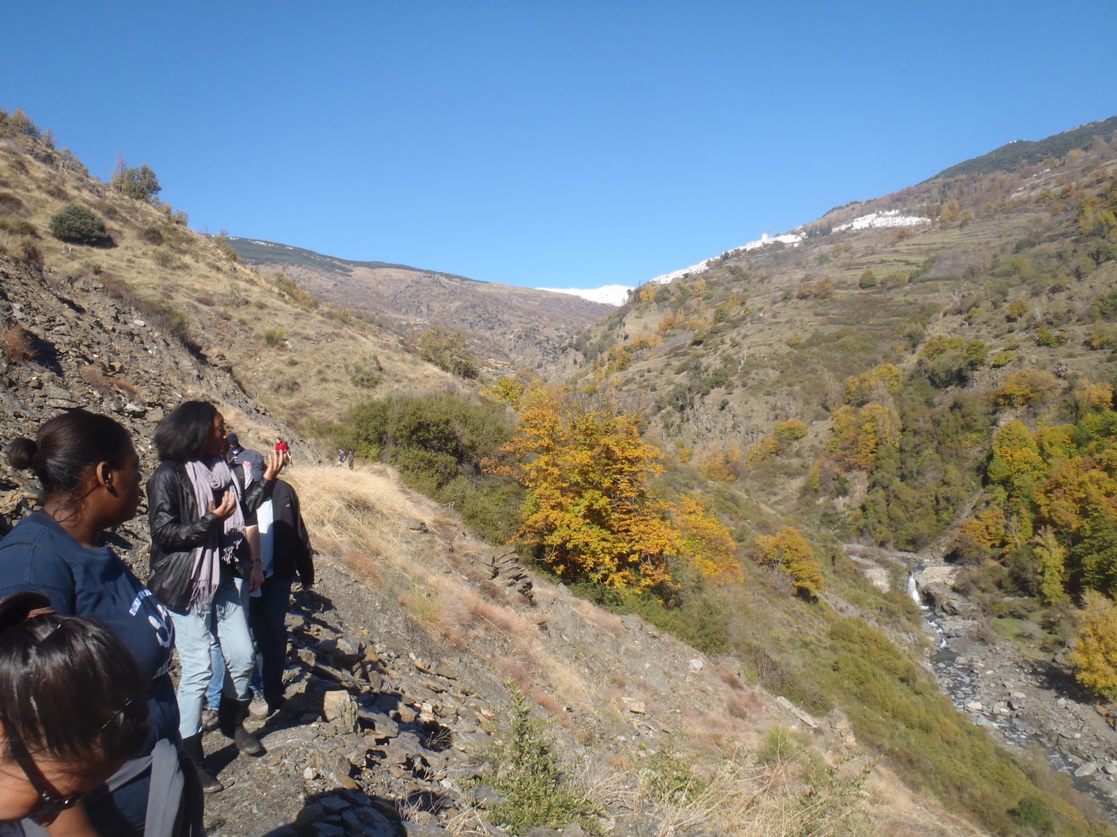 NaluSur | Aventura & Fitness | Stand Up Paddle & Surf School ...