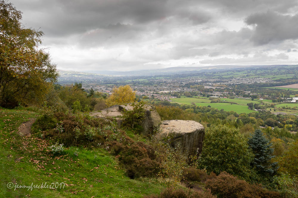 Saltaire Daily Photo: Otley from the Chevin