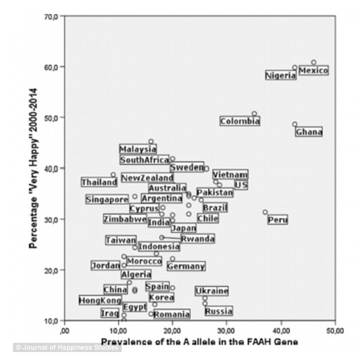 Decoding Happiness ~ KHOJ