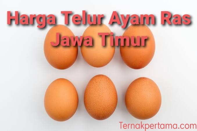 Harga Telur Ayam Ras Jawa Timur