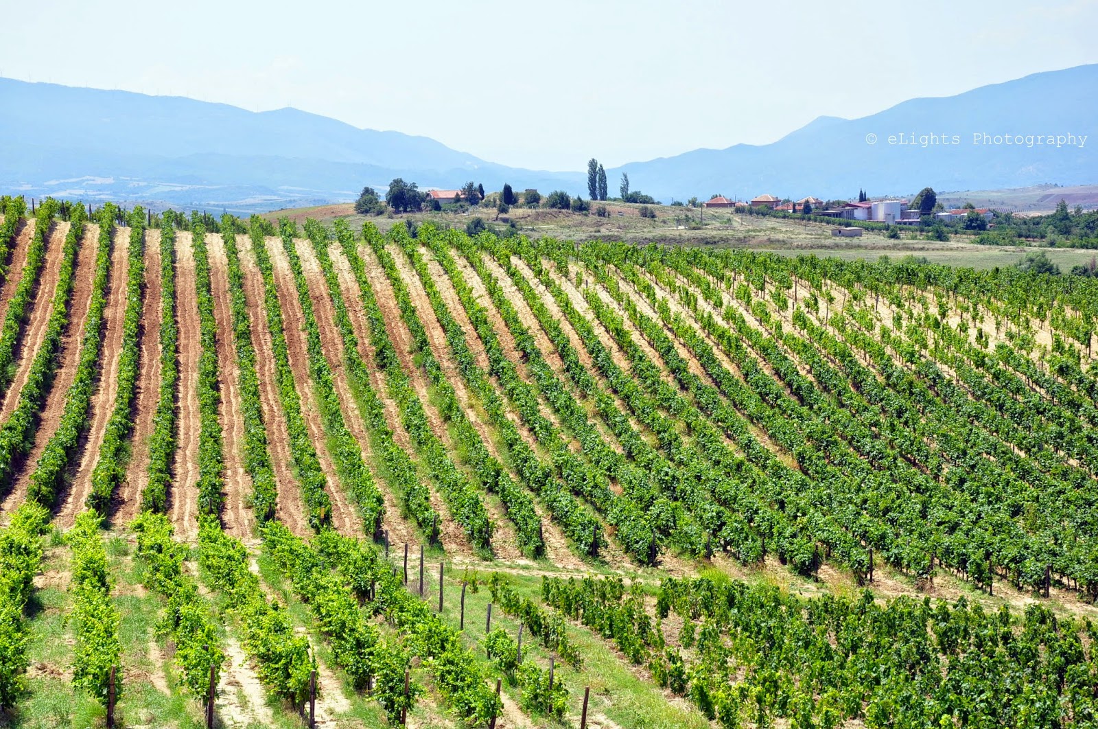 Винен тур по долината на Струма | Wine trip along the valley of Struma ...