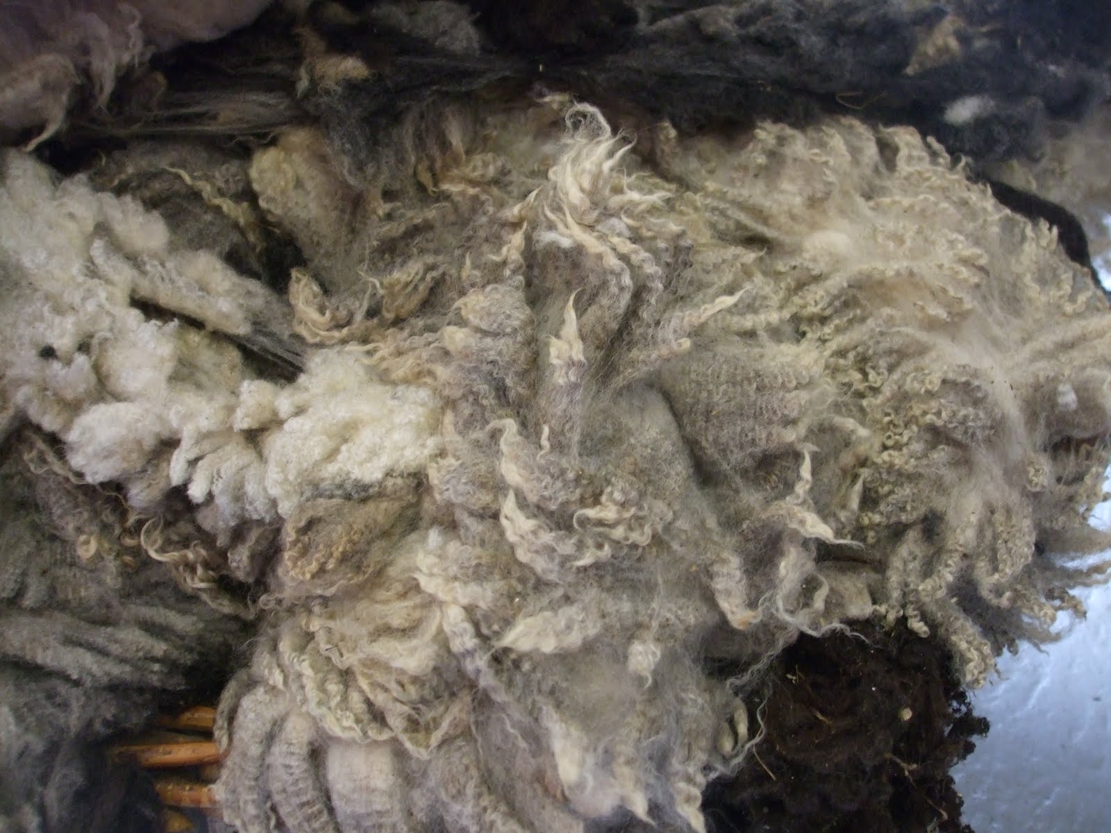 Perfect weather for spinning and knitting: Woolly adventures in Shetland!!