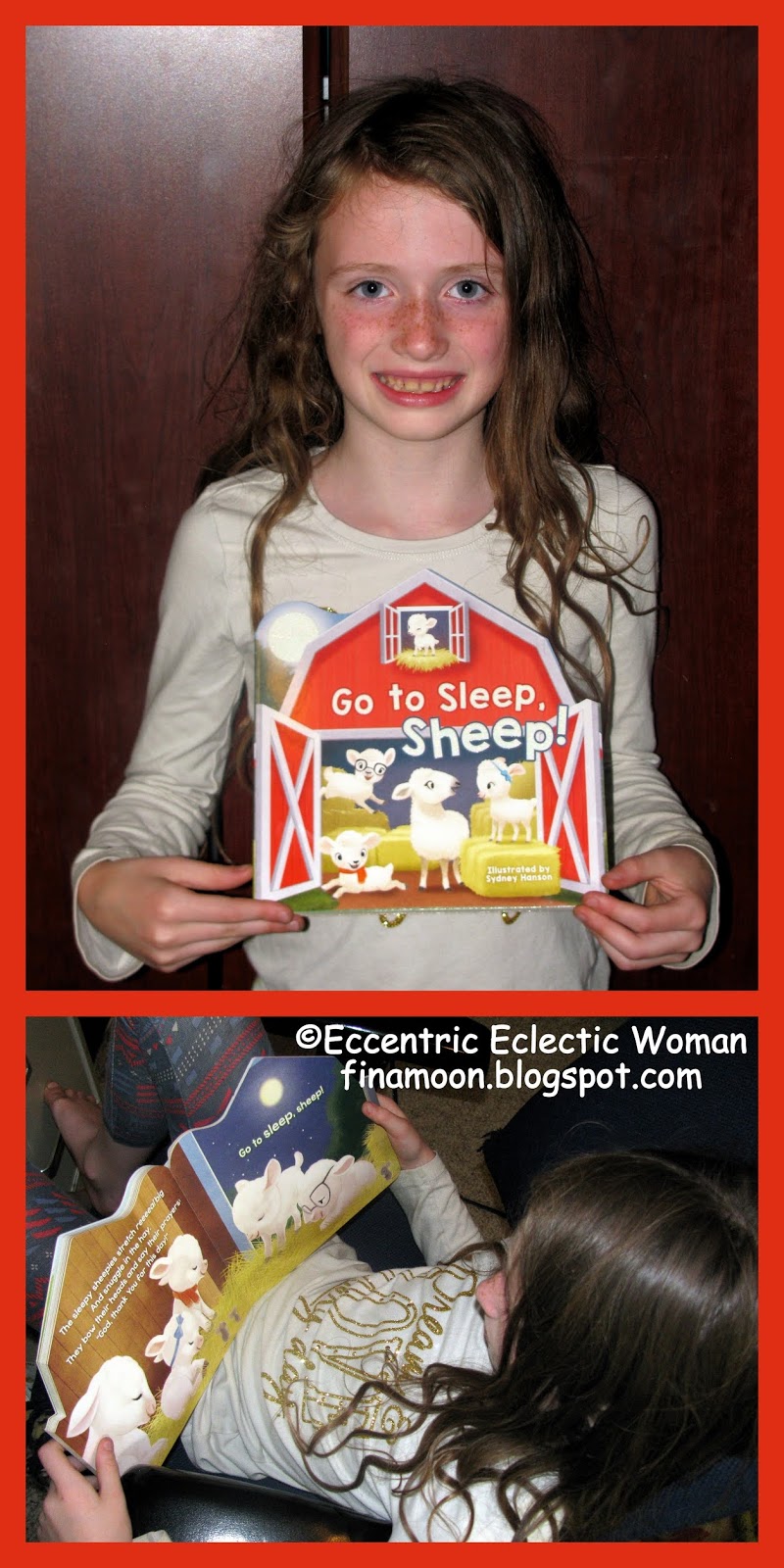 Eccentric Eclectic Woman: Go to Sleep, Sheep! Book Review