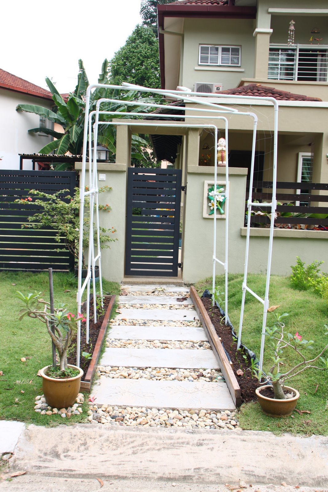 Journey Of My Garden: Malabar Spinach on The New Plastic Trellis
