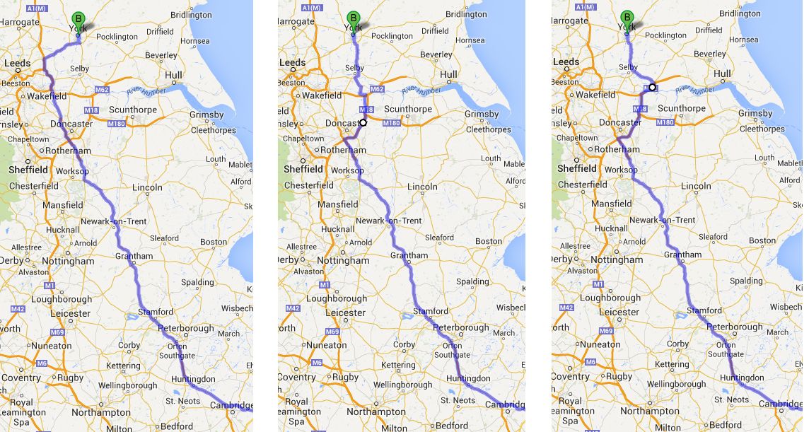 a memory less ephemeral: goldfish brain