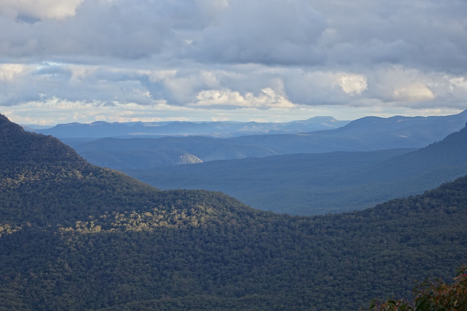 The moon chaser: Sydney