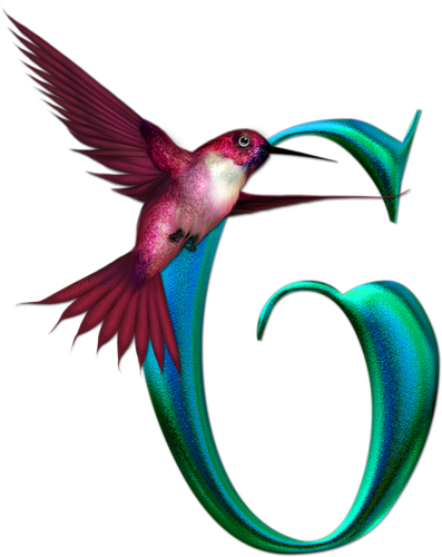 Abecedario de Colibrí. Hummingbird Alphabet. - Oh my Alfabetos!