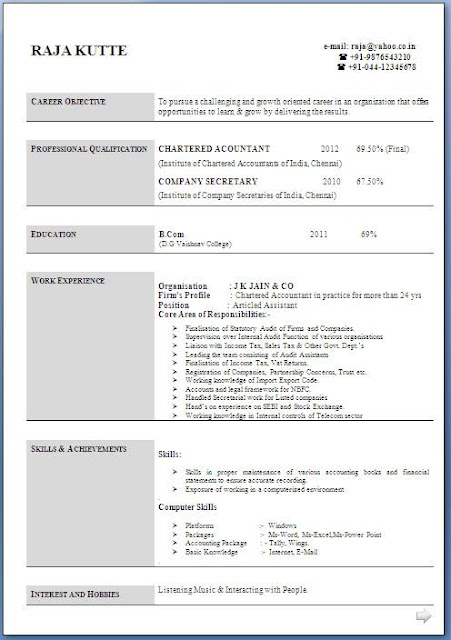 Chartered Accountant Professional Resume