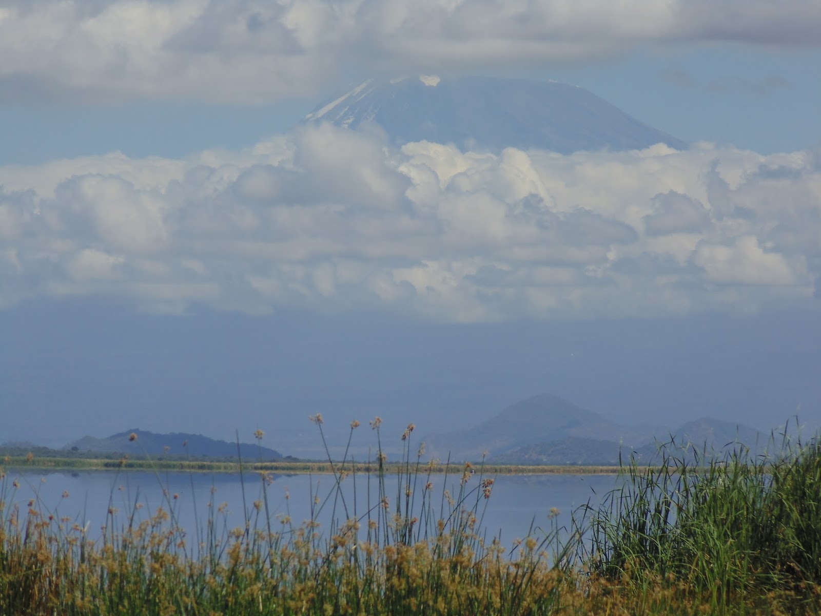 Safari ya Baringo: Kenya's side of Lake Jipe: A pose with the elephants